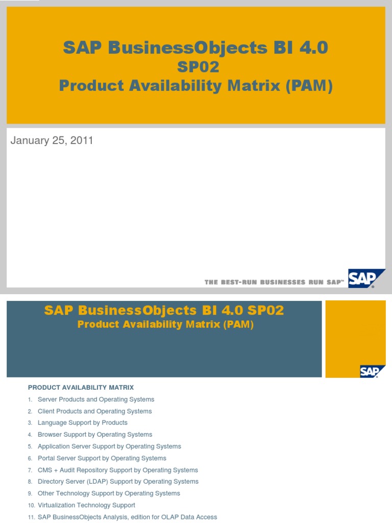 SAP Business Objects BI 4 0 SP02 PAM | PDF
