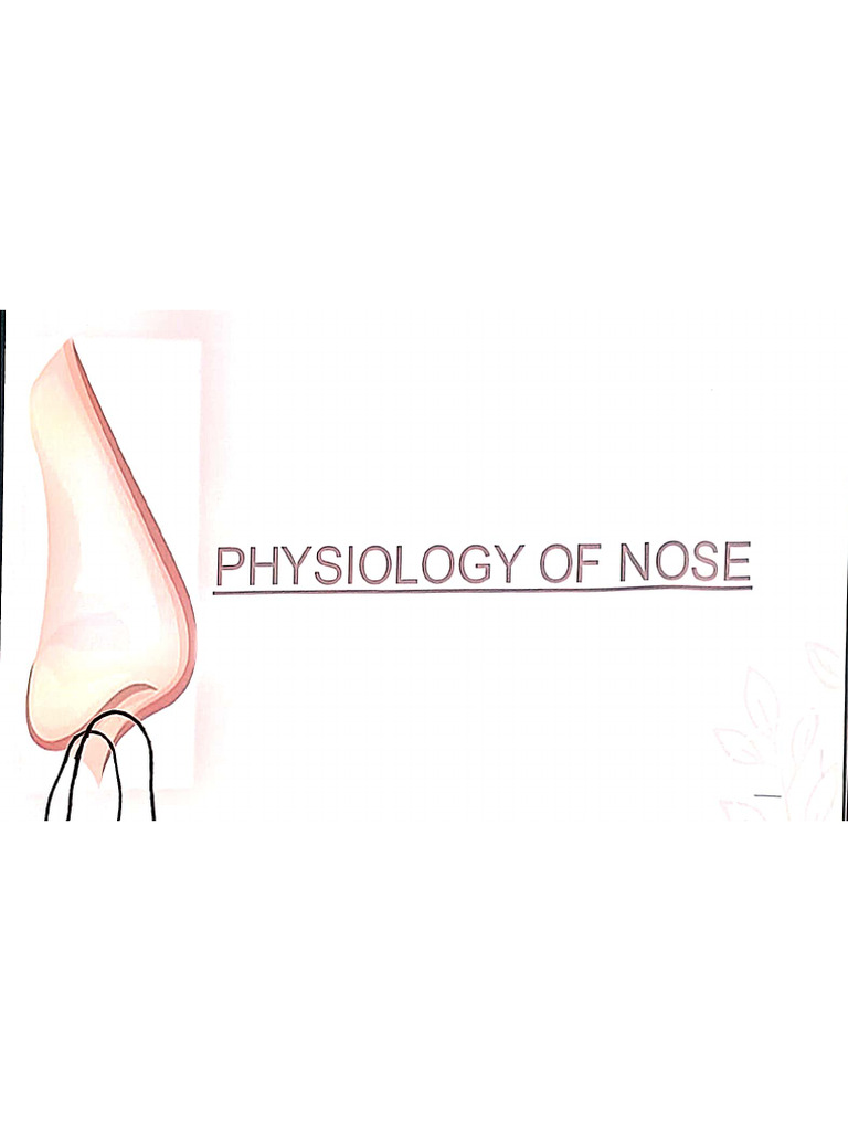 Physiology of Nose | PDF