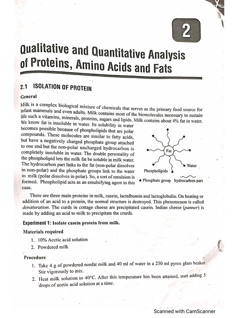 Isolation of Protein | PDF