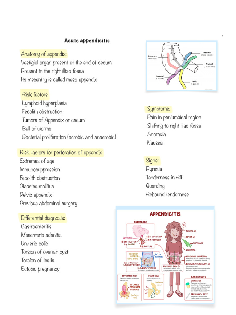 Acute Appendicitis Overview and Management | PDF