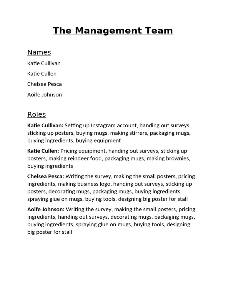 Management Team Roles and Responsibilities | PDF