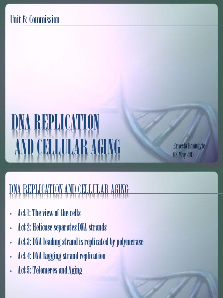 Unit 6: Commission: Dna Replication and Cellular Aging | PDF | Wellness ...