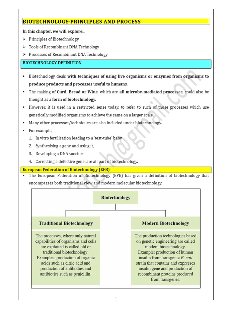 Principles of Biotechnology Explained | PDF | Molecular Cloning ...