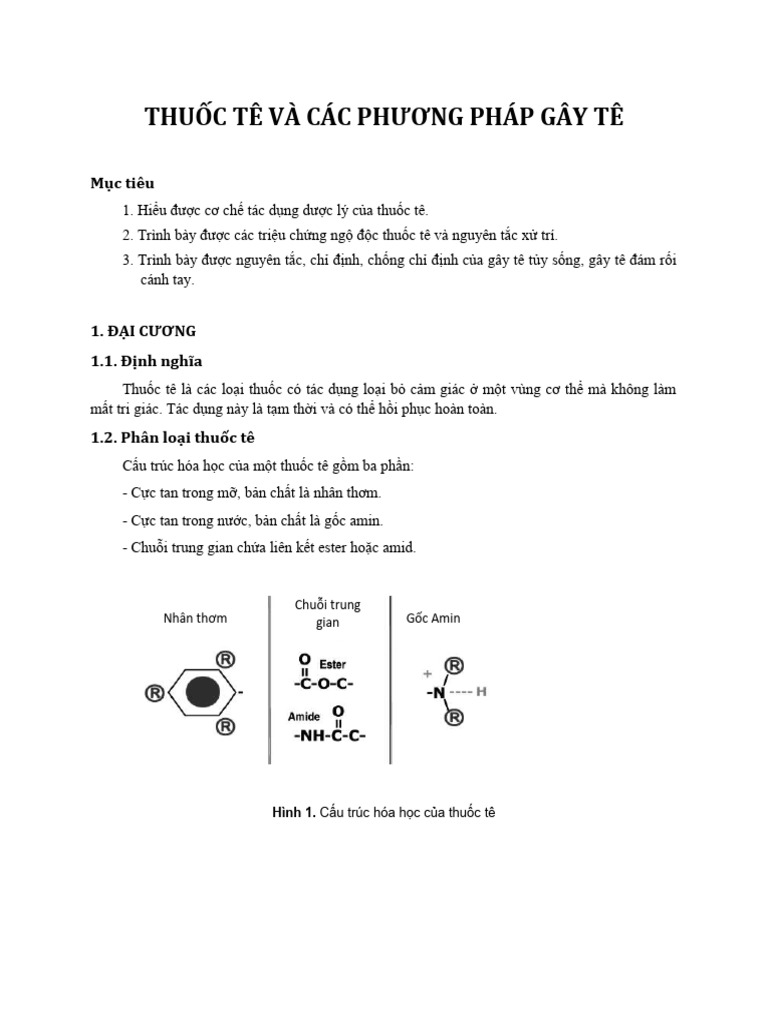 Lec 13 Thuốc Tê Và Các Phương Pháp Gây Tê Handout | PDF