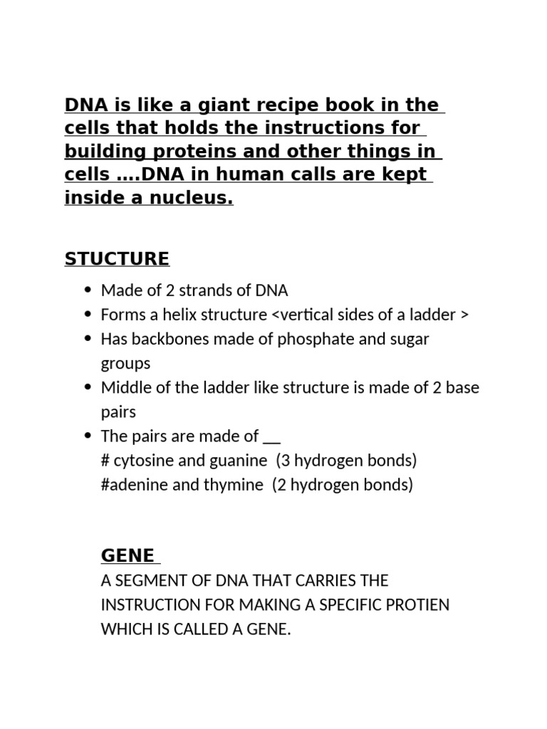 DNA Is Like A Giant Recipe Book in The Cells That Holds The ...