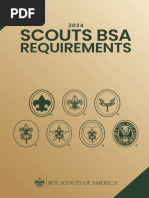 BSA Tool Use Safety Guidelines | PDF | Personal Protective Equipment