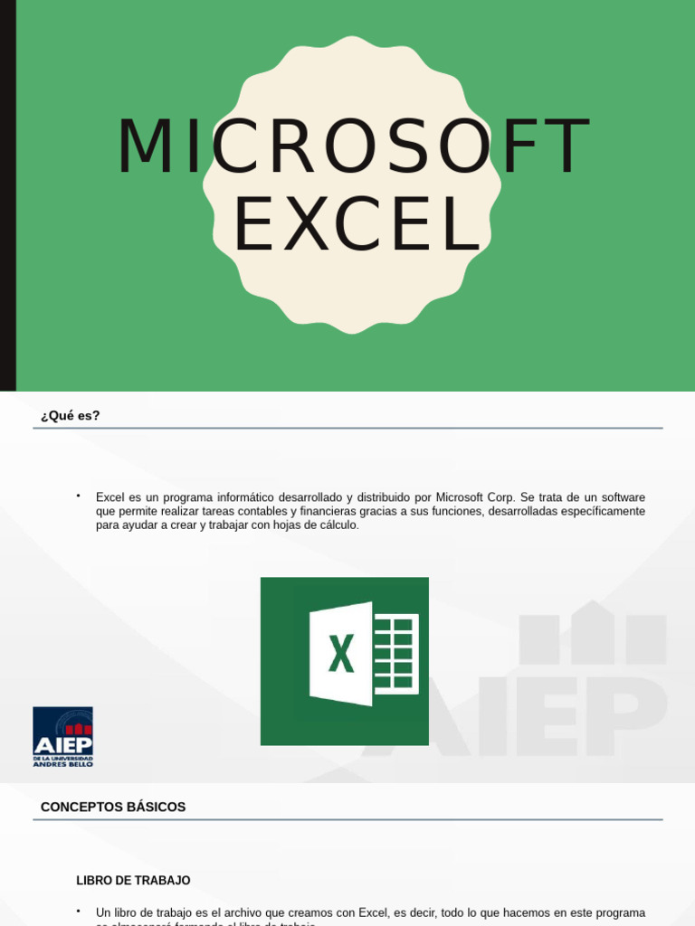 Microsoft Excel Conceptos Basicos | PDF | Ventana (informática) | Microsoft Excel