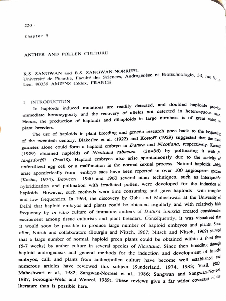 Anther and Pollen Culture | PDF | Plant Reproduction | Biological Processes