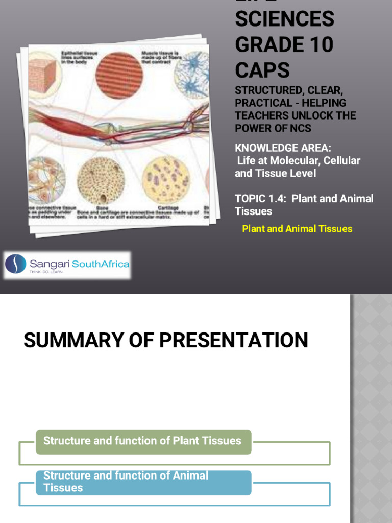 Life Science Tissues | PDF