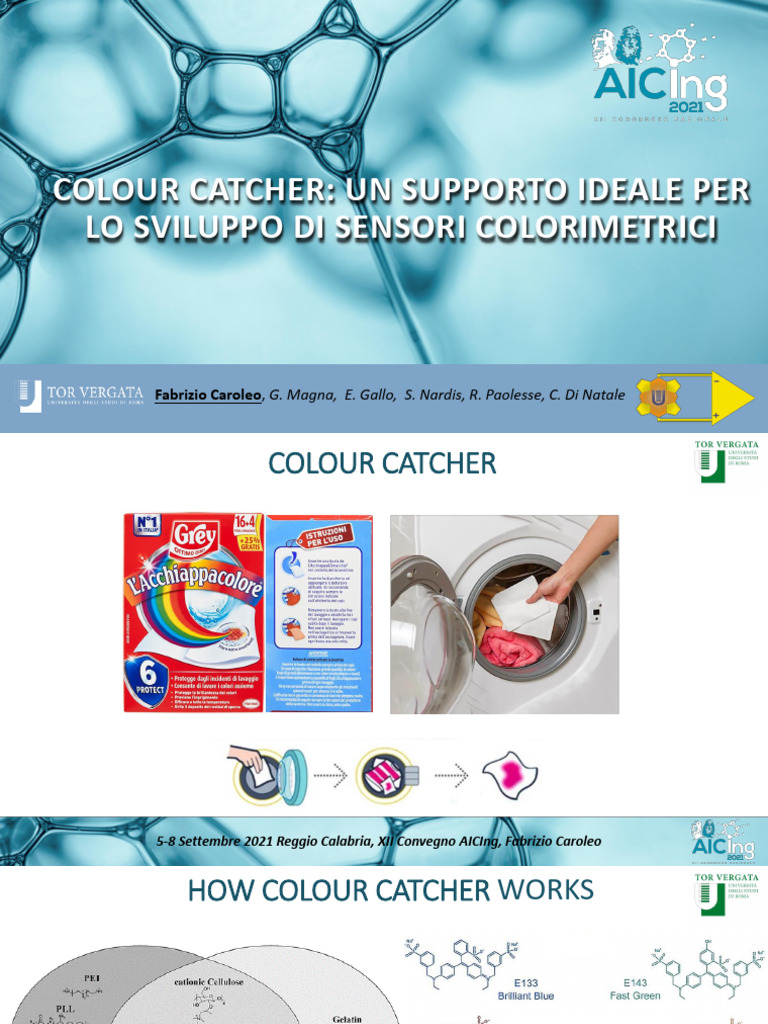 Fabrizio Caroleo Presentazioneaicing2021 Reggiocalabria Colour Catcher ...