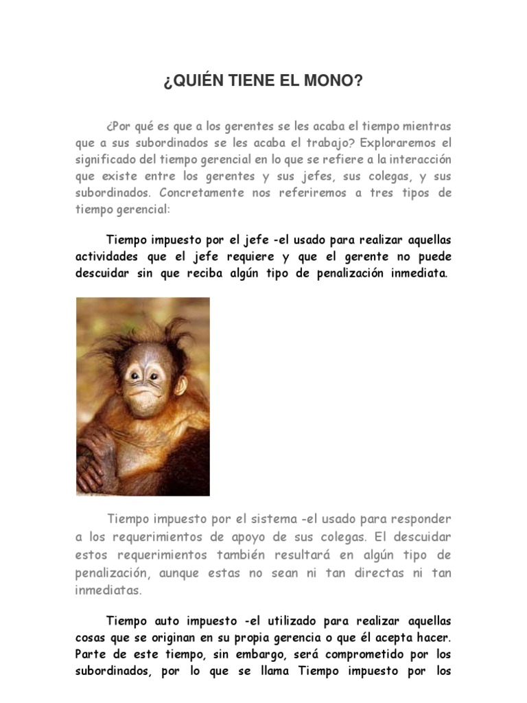 Quién Tiene El Mono | PDF | Impuestos | Toma de decisiones