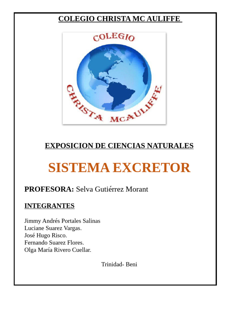Sistema Excretor: Funciones y Cuidados | PDF | Sistema urinario | Excreción