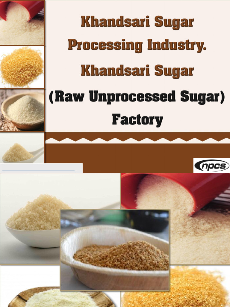 Khandsari Sugar Processing Industry-928604 | PDF | Expense | Equity ...