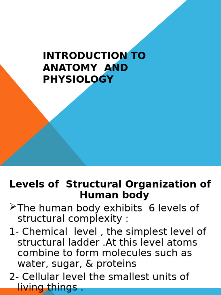 Anatomy and Physiology Overview | PDF | Human Body | Homeostasis