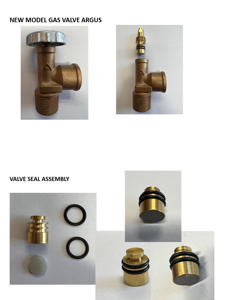 New Model Gas Valve Argus | PDF