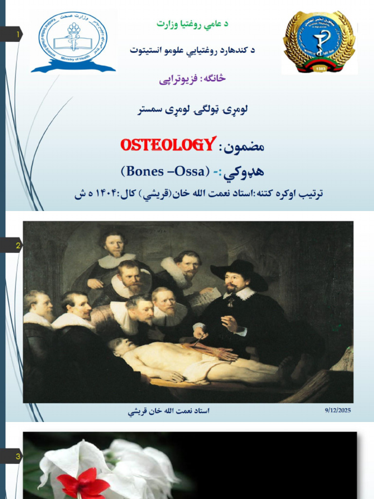 Osteology | PDF
