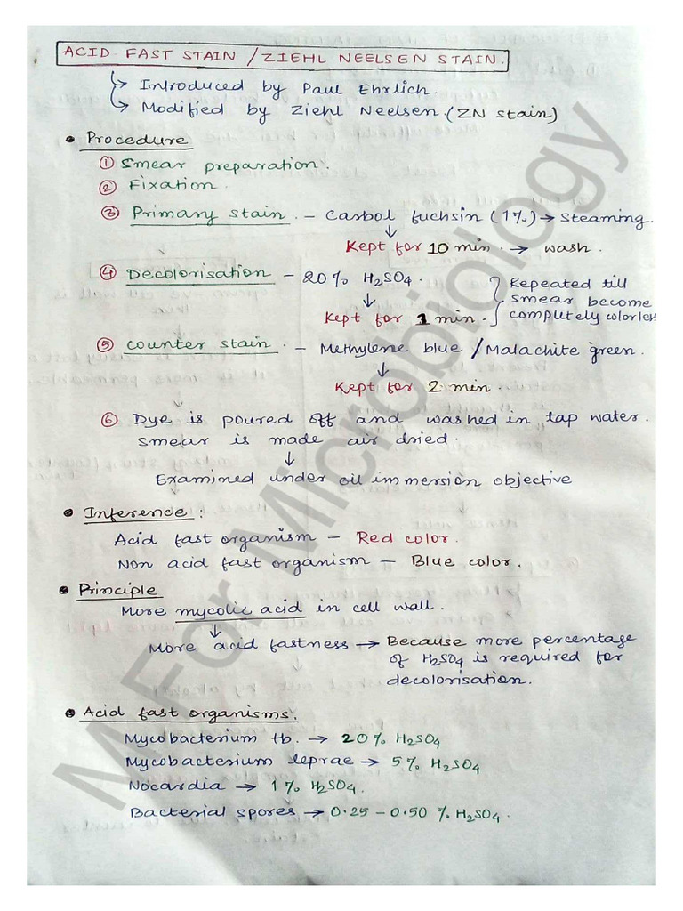 ZN Stain - 250204 - 215046 | PDF