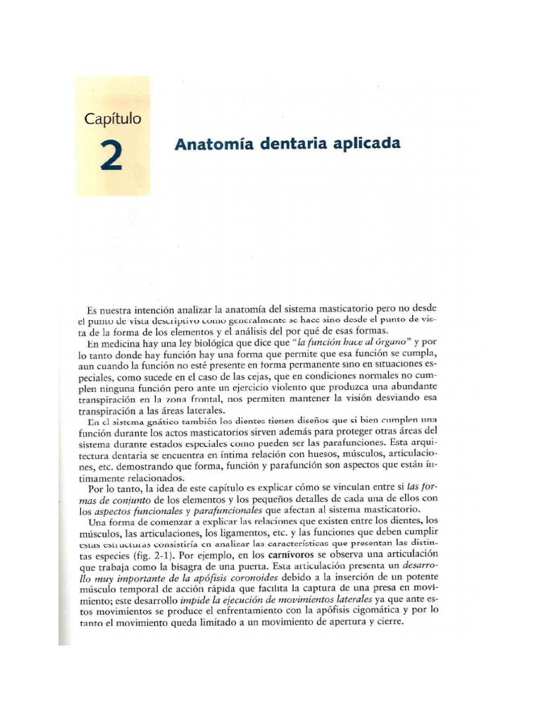 Clase 2 y 3 Subrayado | PDF