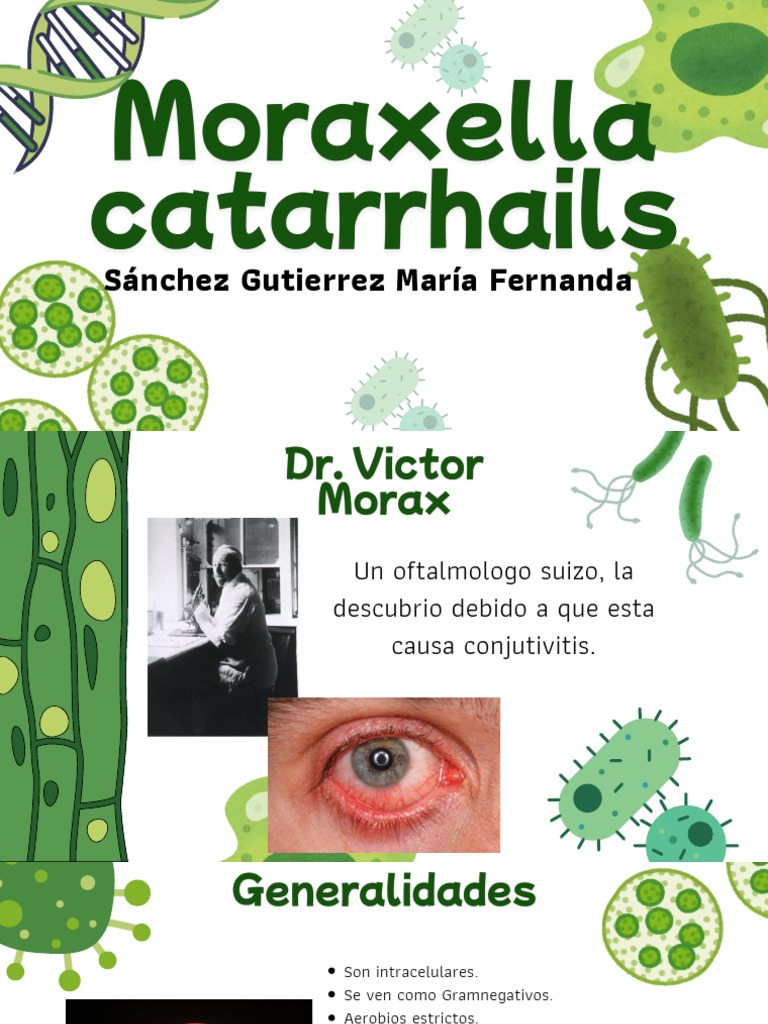 Moraxella catarrhalis: Patógeno y Tratamiento | PDF | Especialidades ...