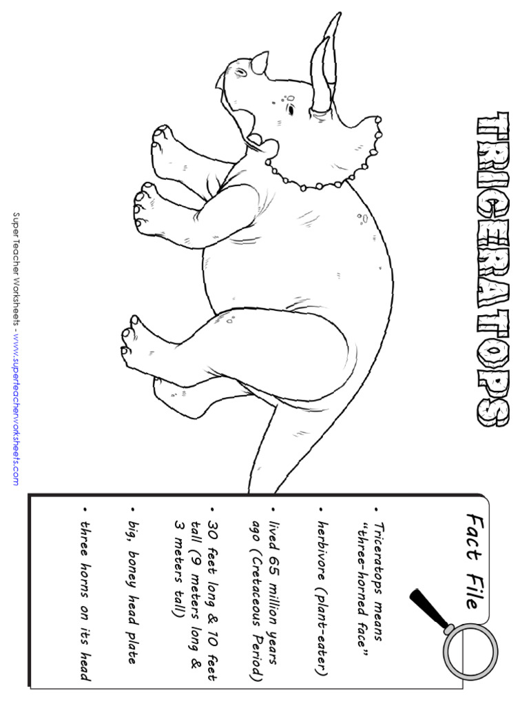 Fact File Triceratops FFILE | PDF