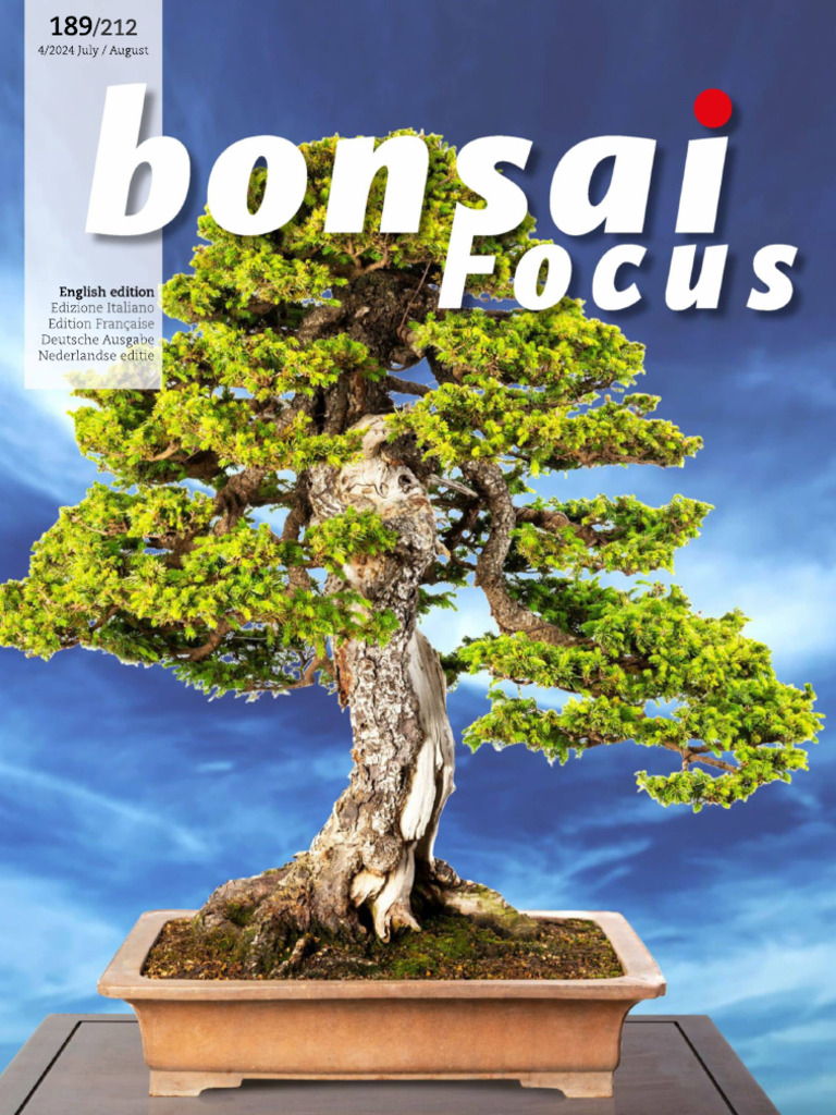 Bonsai Focus - 07.08 2024 | PDF
