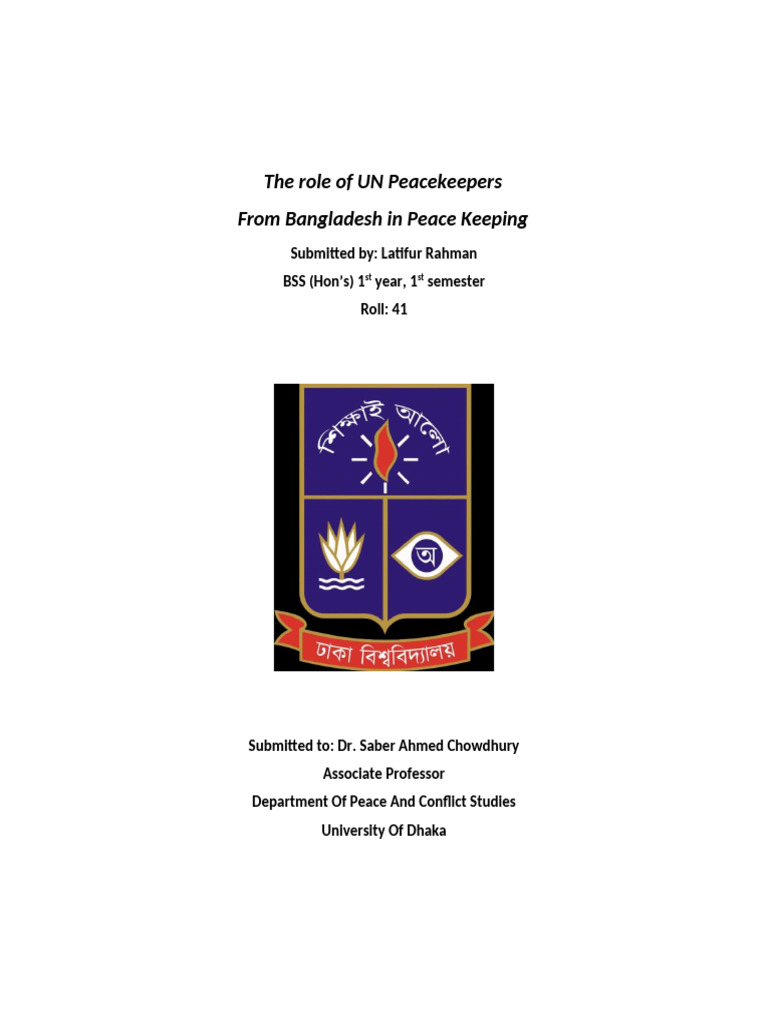 The Role of UN Peacekeepers | PDF