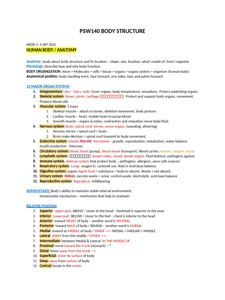 Psw140 Body Structure - Summarize | PDF | Endoplasmic Reticulum | Human ...