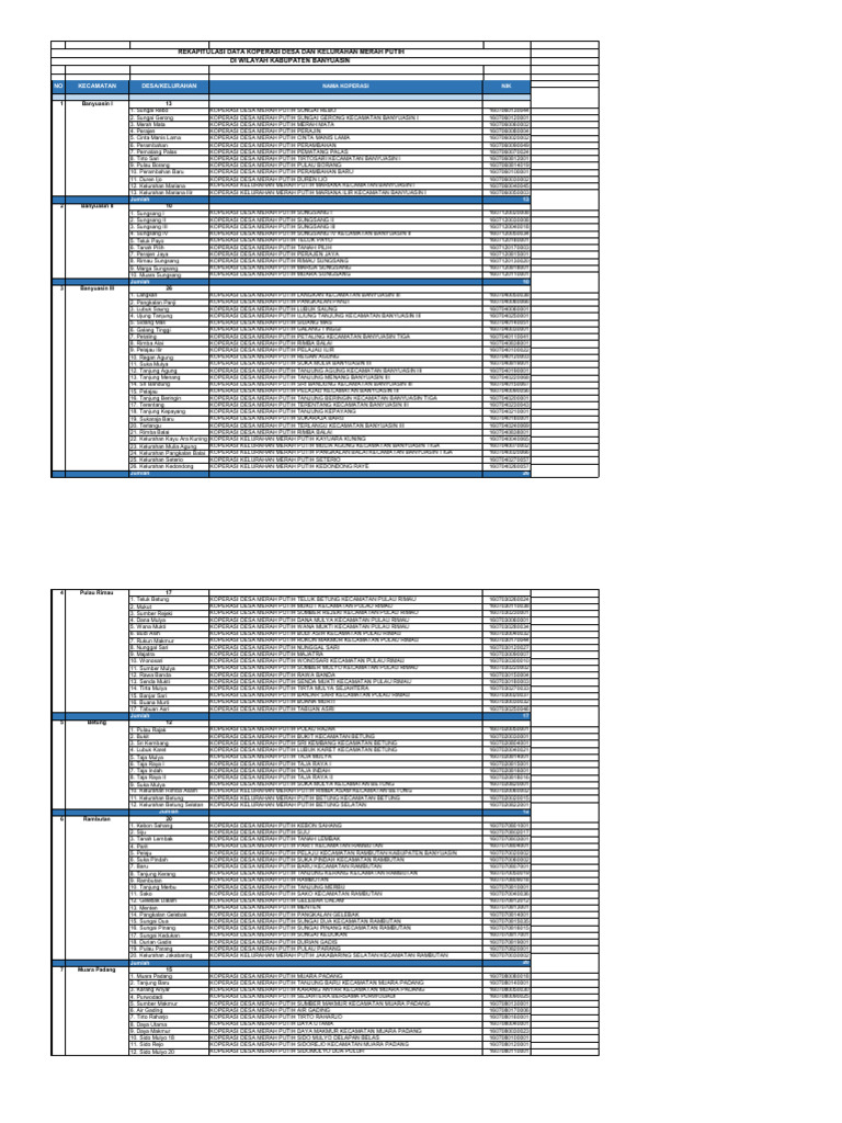 Data Koperasi Merah Putih Banyuasin | PDF