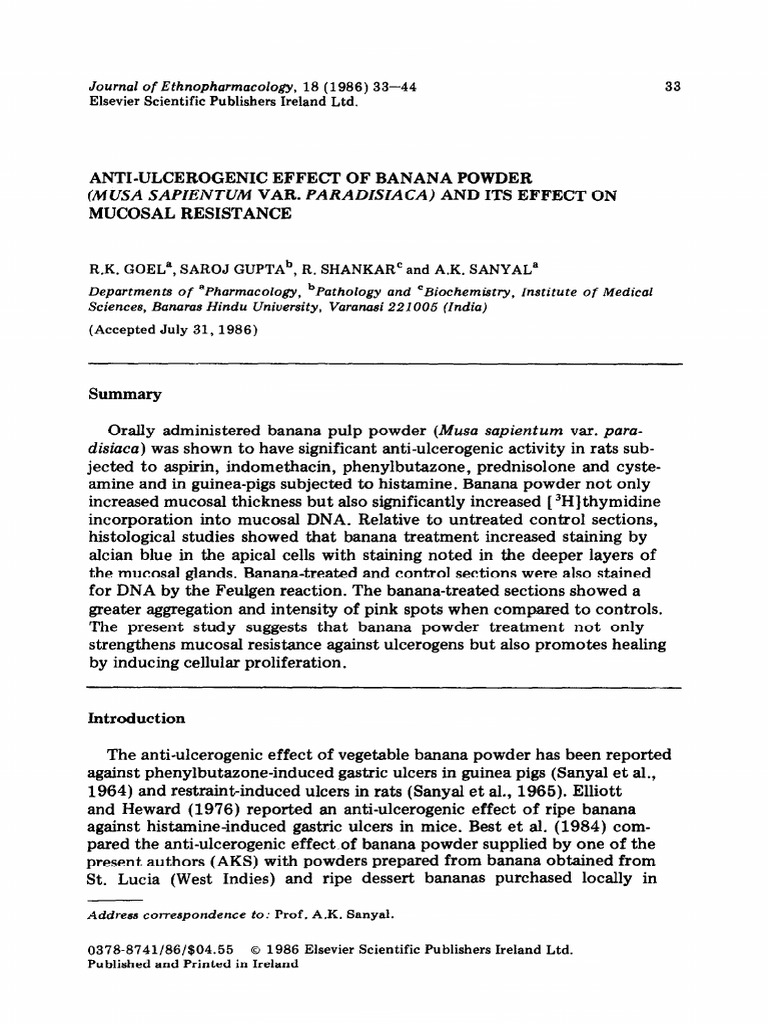 Banana Powder's Anti-Ulcer Effects | PDF | Stomach | Banana