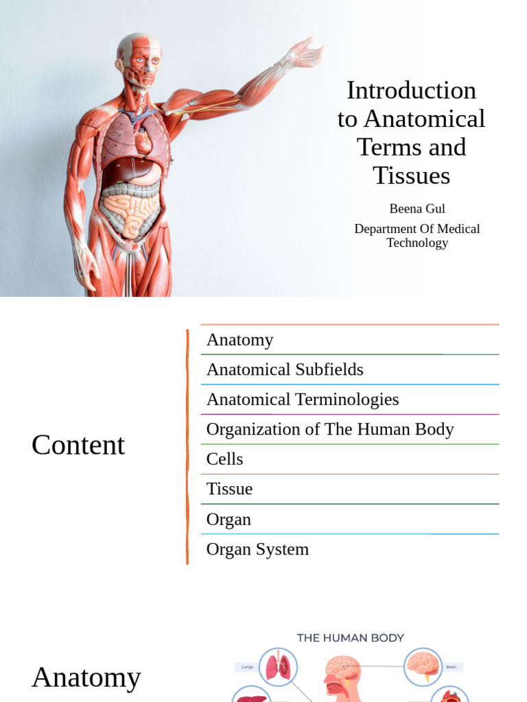 Anatomy: Terms, Tissues, and Organization | PDF | Anatomical Terms Of ...