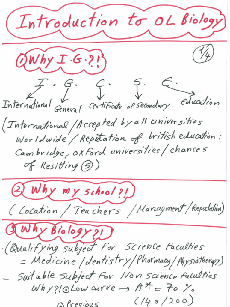 Demo Ol | PDF