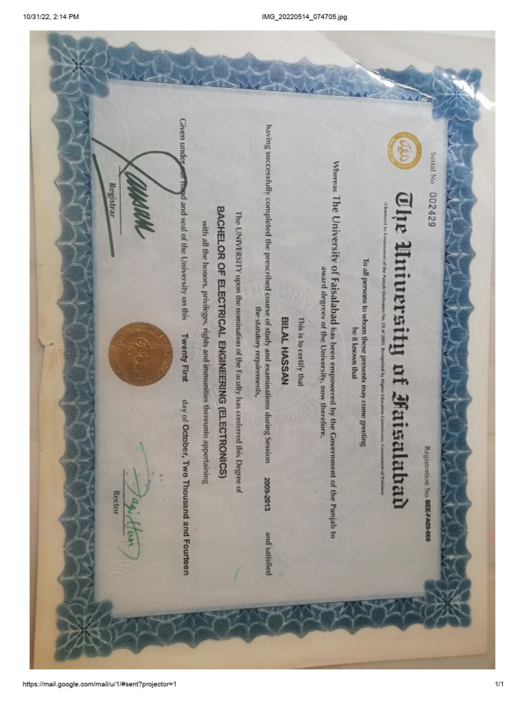 BSC Degree | PDF