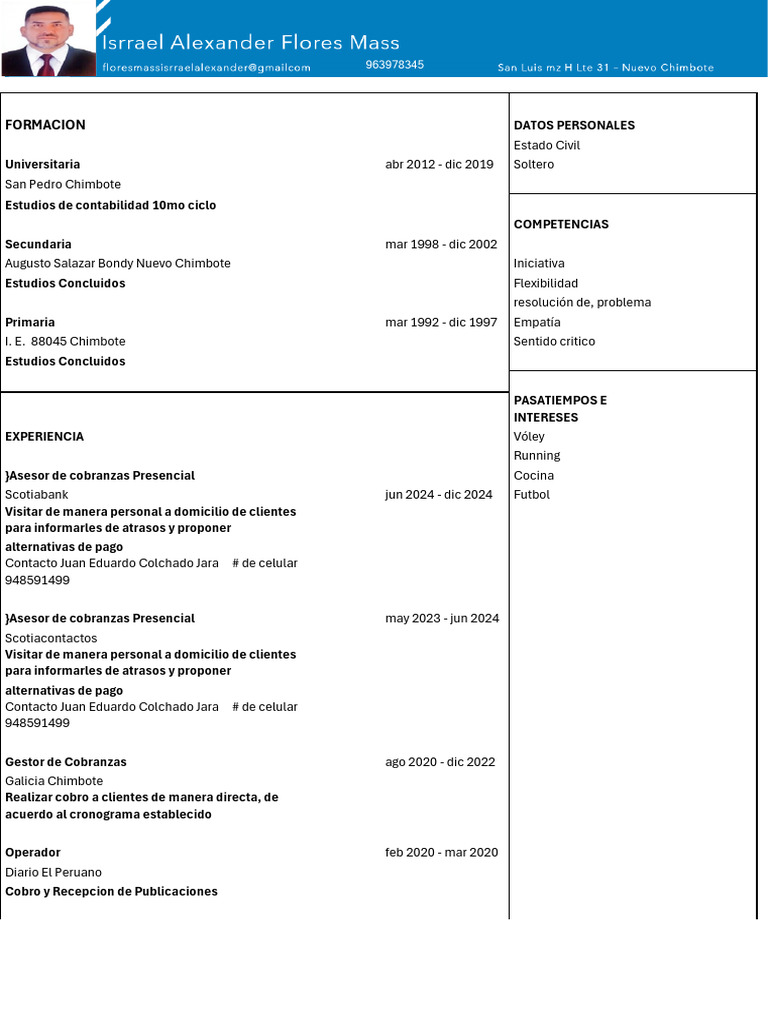CV Alex | PDF