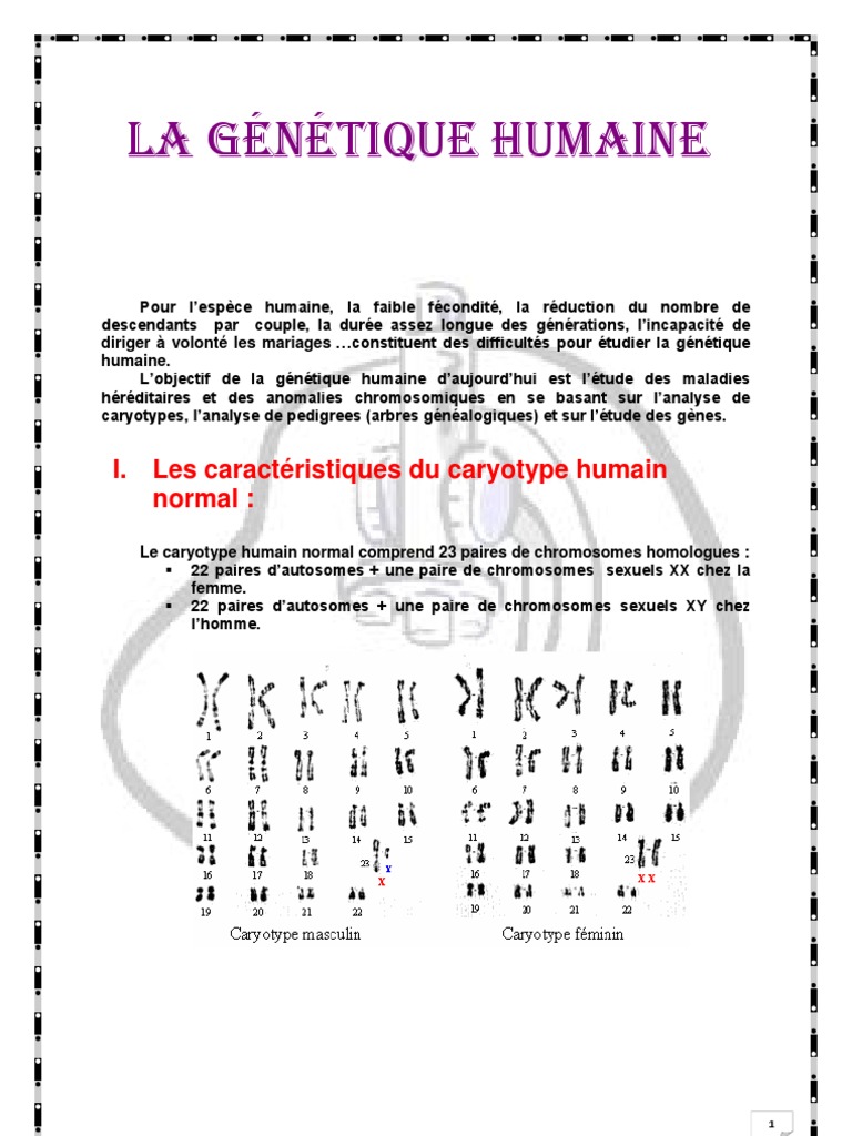 Cours de génétique humaine PDF | PDF | Allèle | Chromosome
