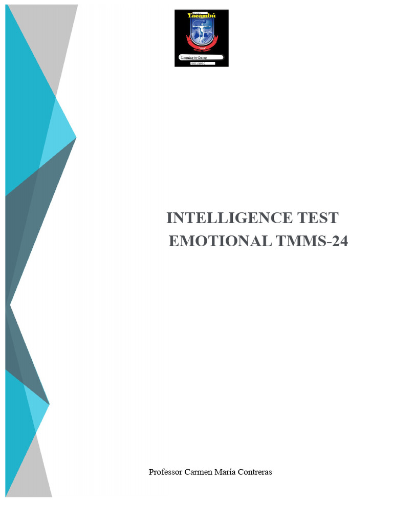 TMMS-24 Emotional Intelligence Test Guide | PDF | Feeling | Emotional ...