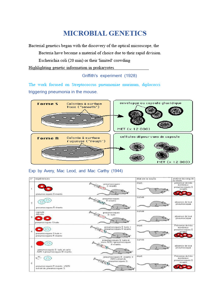 Microbial Genetics | PDF | Operon | Repressor