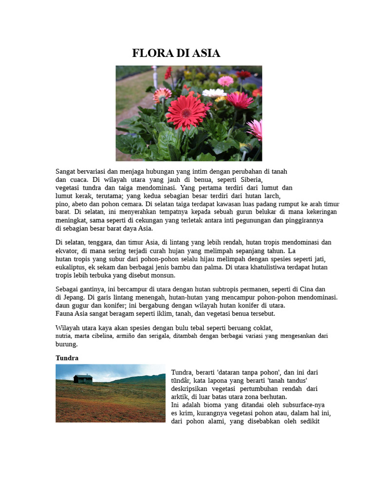 FLORA Dan FAUNA DI ASIA | PDF