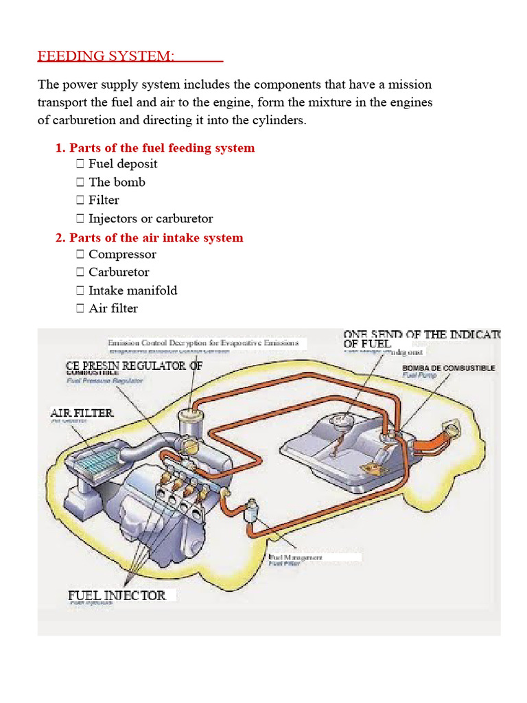 Feeding System | PDF