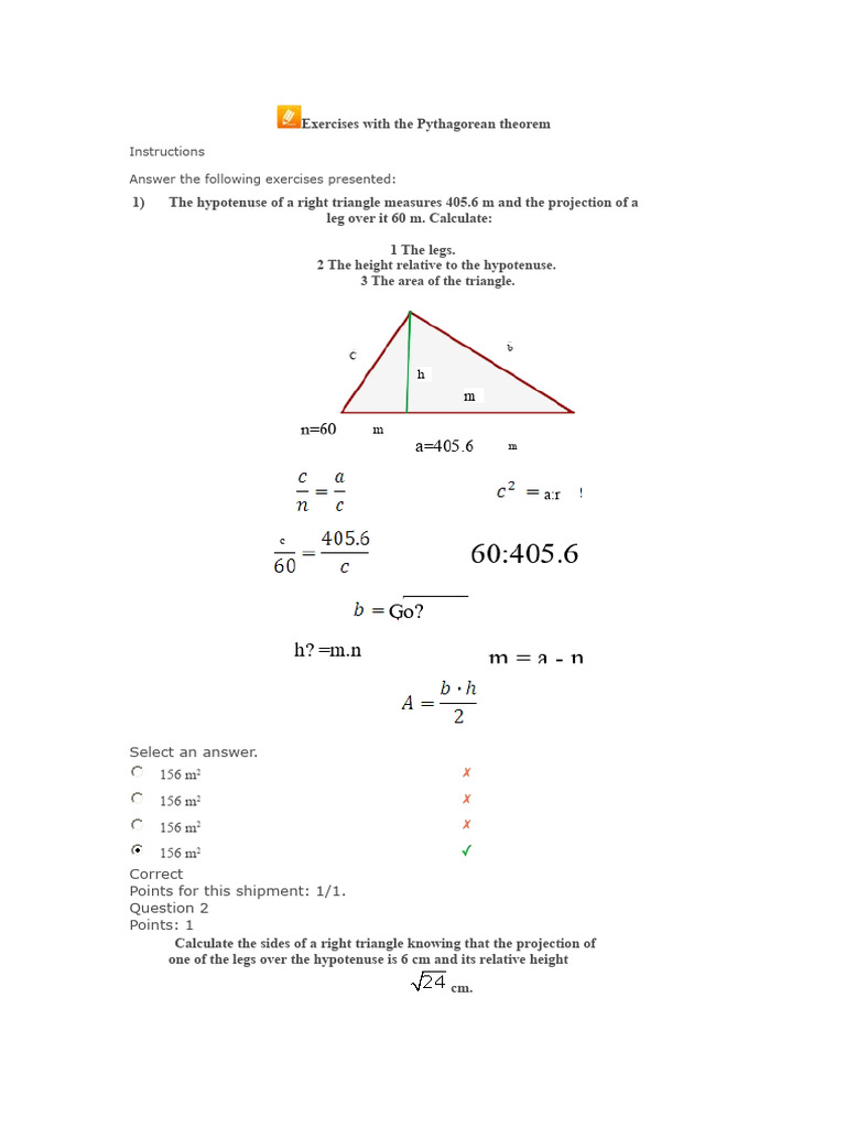 Pythagorean Theorem Exercises | PDF