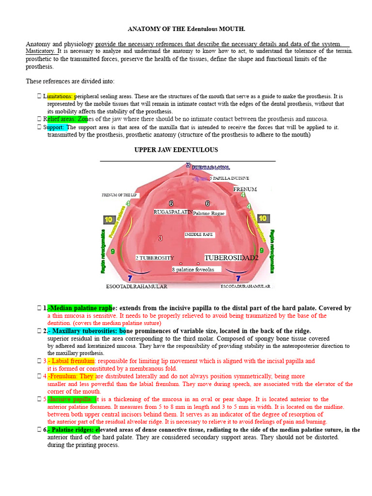 Anatomy of the Edentulous Mouth | PDF | Dental Implant | Dentistry Branches