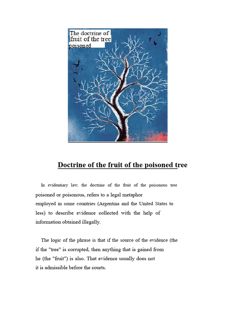 Understanding the Poisoned Tree Doctrine | PDF | Justice | Crime & Violence