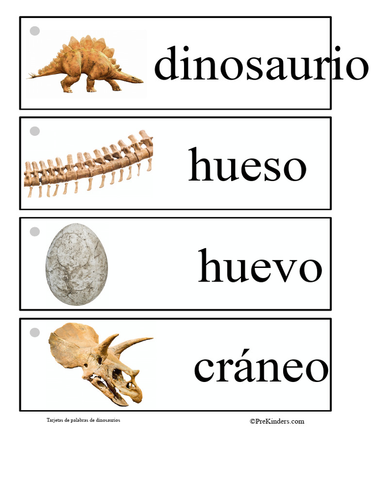 Tarjetas de Palabras de Dinosaurios 21 | PDF