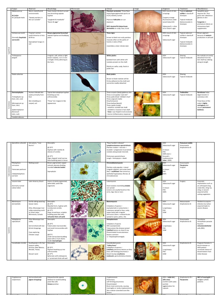 Medical Fungus Table | Candidiasis | Animal Diseases