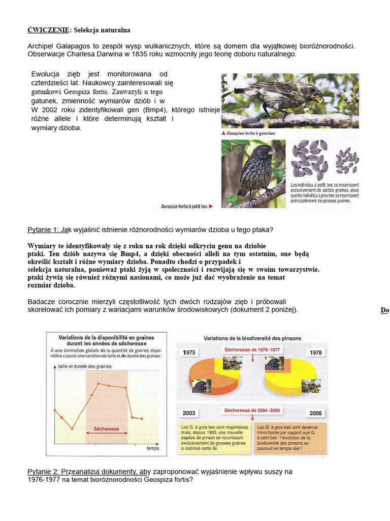 ĆWICZENIE Dobór Naturalny | PDF