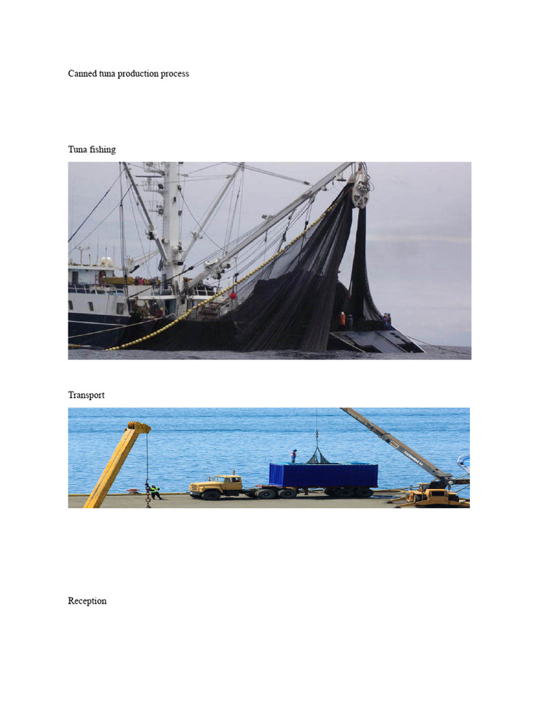 Canned Tuna Production Process Overview | PDF | Canning | Tuna