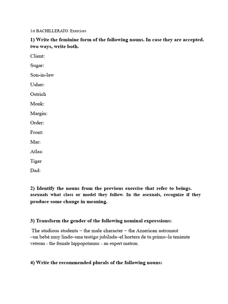 Exercises On Nouns and Adjectives High School | PDF