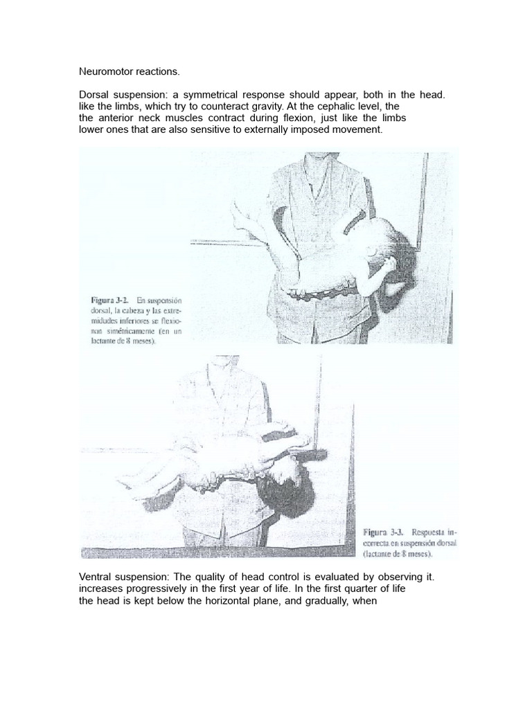 Neuromotor Reactions in Infants | PDF | Anatomical Terms Of Motion ...