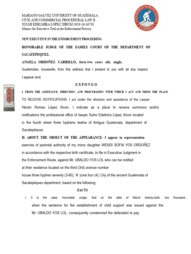 Executive Memorandum New in The Enforcement Proceeding | PDF | Lawsuit ...