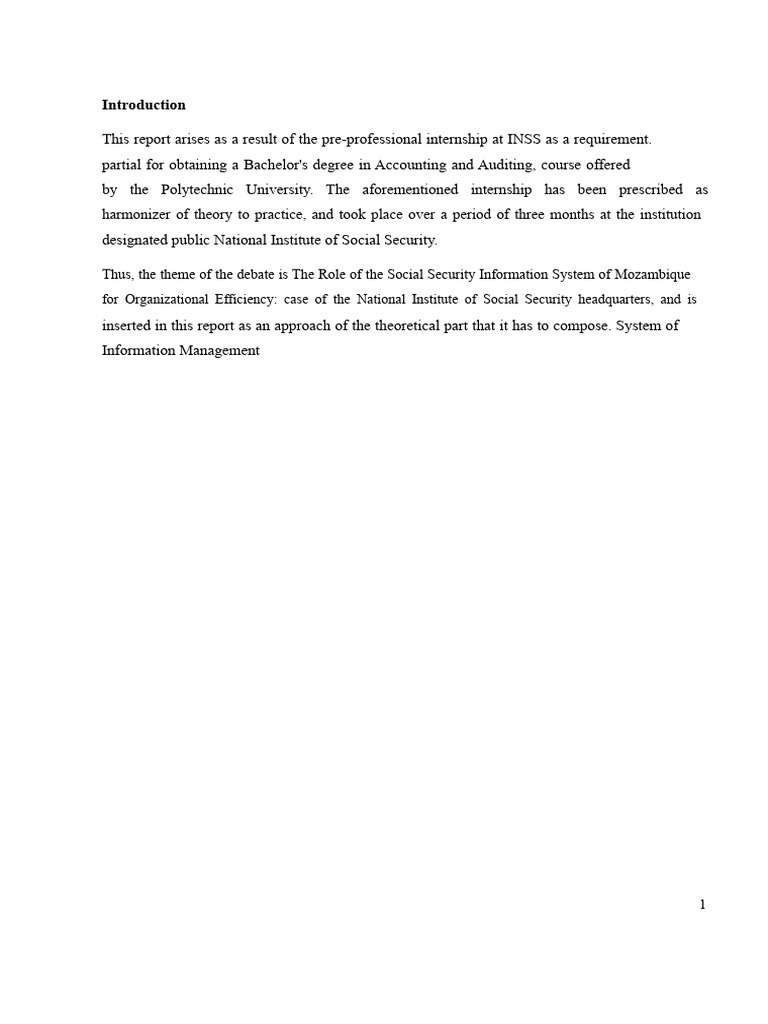 Internship Report (Accounting) | PDF | System | Methodology