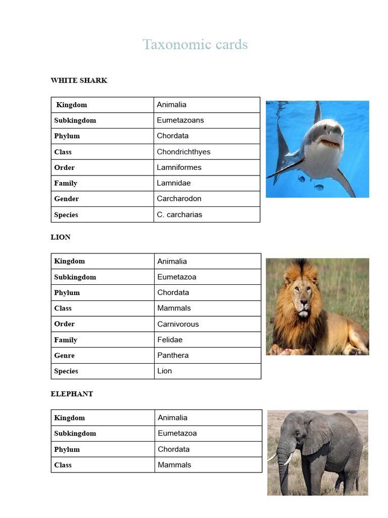 Taxonomic Sheets | PDF